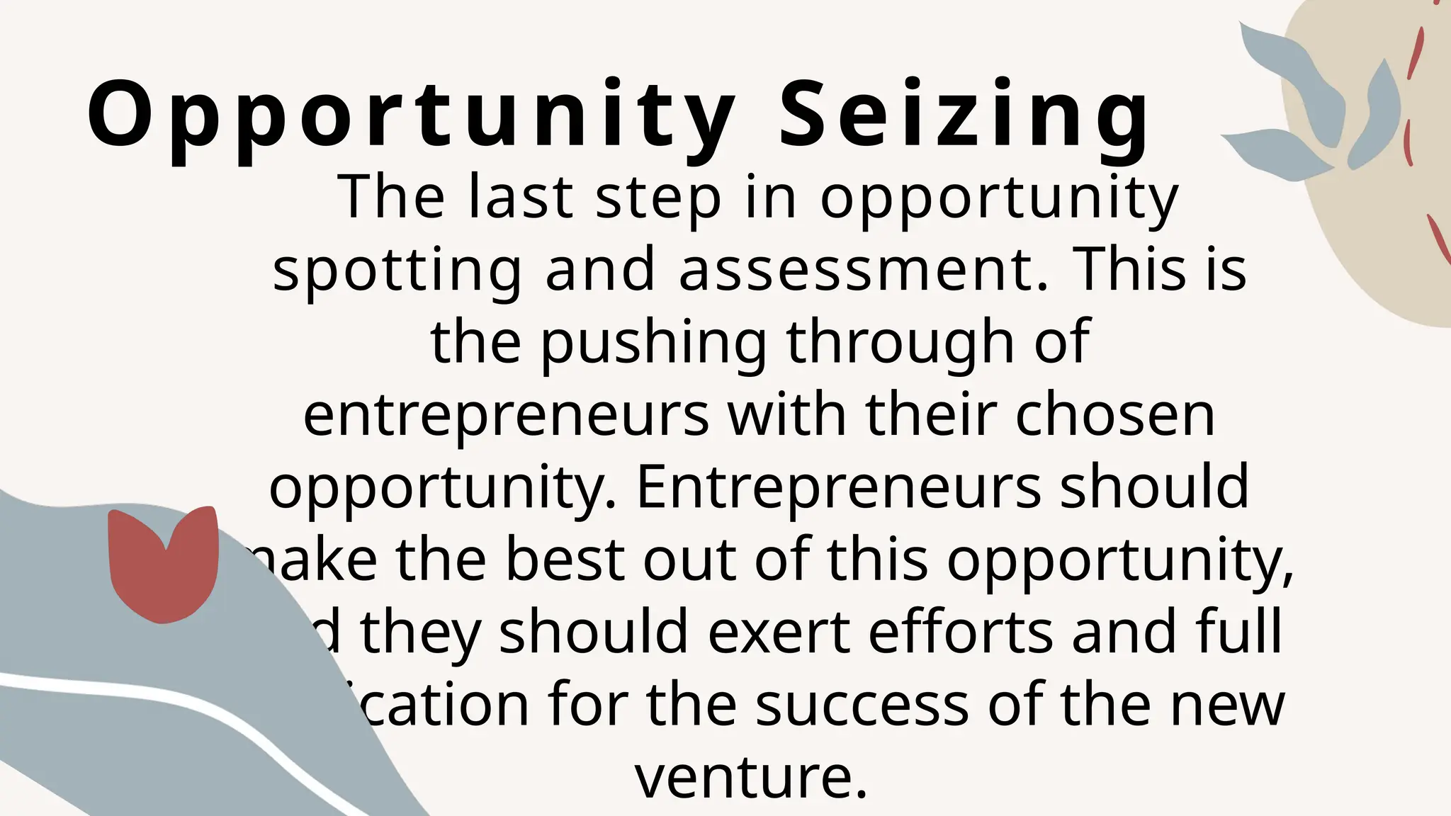 Entrepreneurship OpportunitySeeizing.pptx