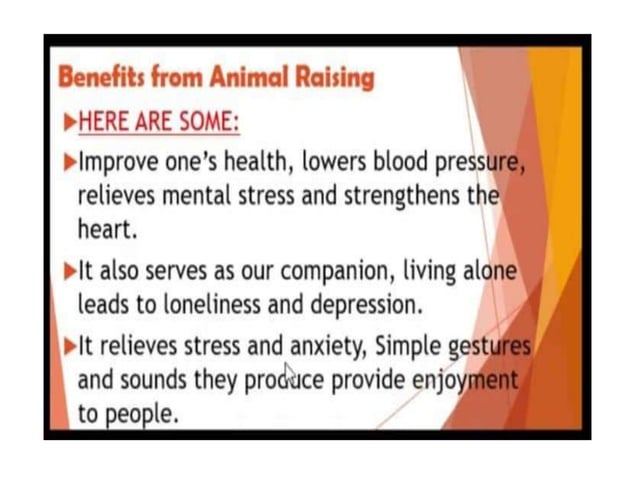 RAISING ANIMALS.pptx