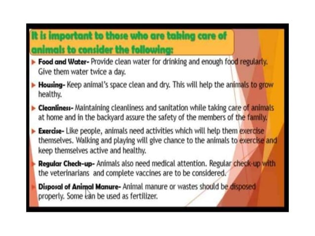 RAISING ANIMALS.pptx