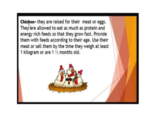 RAISING ANIMALS.pptx