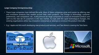 Introduction To entrepreneurship and its types | PPTX