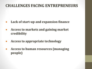 Entrepreneurship | PPTX
