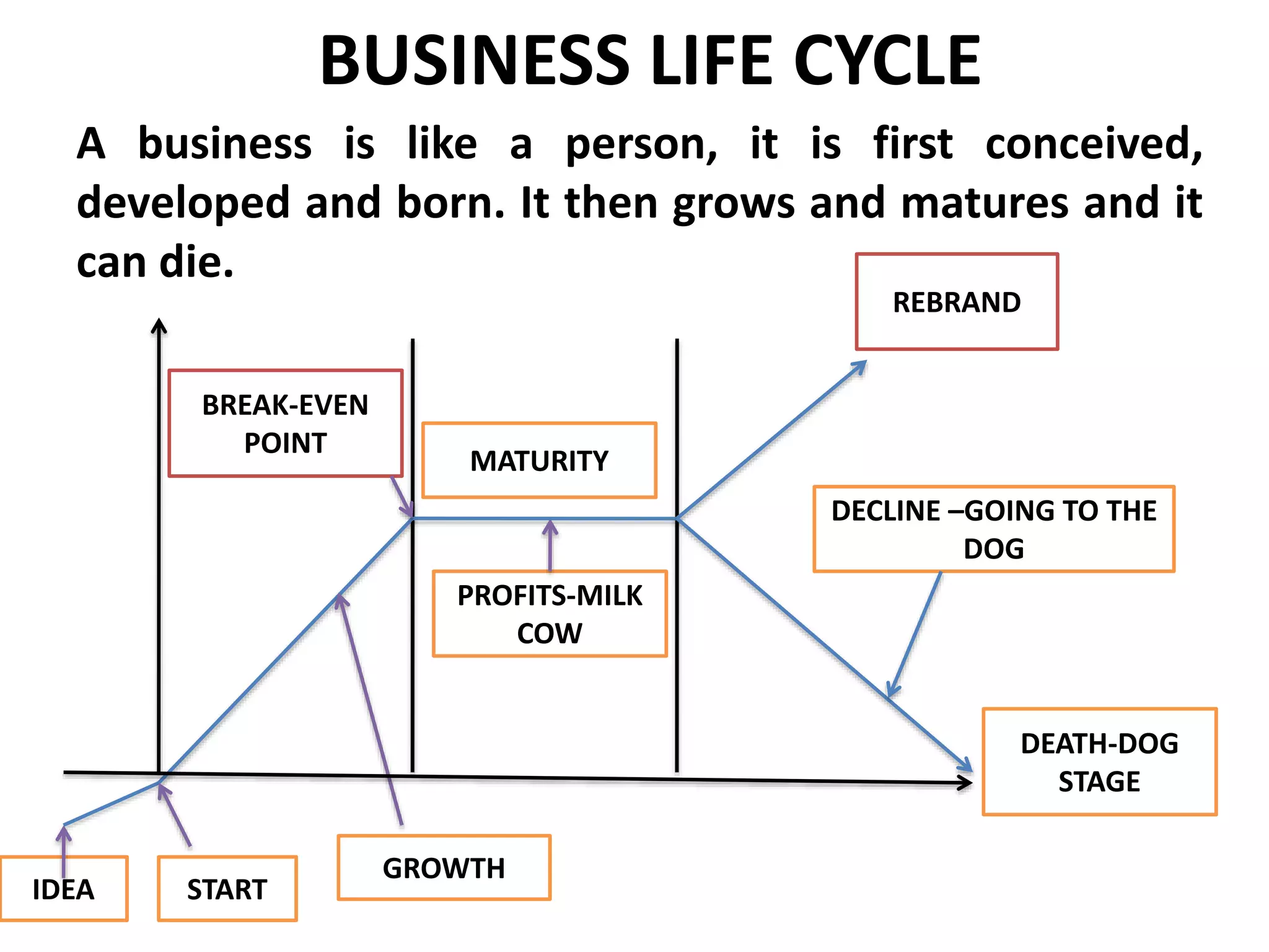 Entrepreneurial pathway ppt (1).ppt