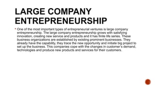 Entrepreneurship & innovation with definition types and importance | PPTX