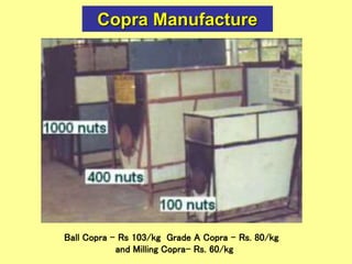 Entrepreneurship opportunities in post harvest technologies of ...