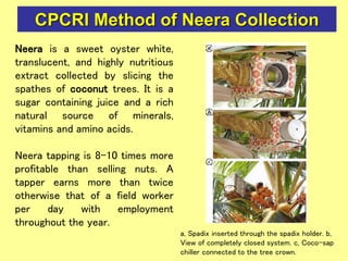 Entrepreneurship opportunities in post harvest technologies of ...