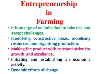 Entrepreneurship Process.problems and solution | PPTX