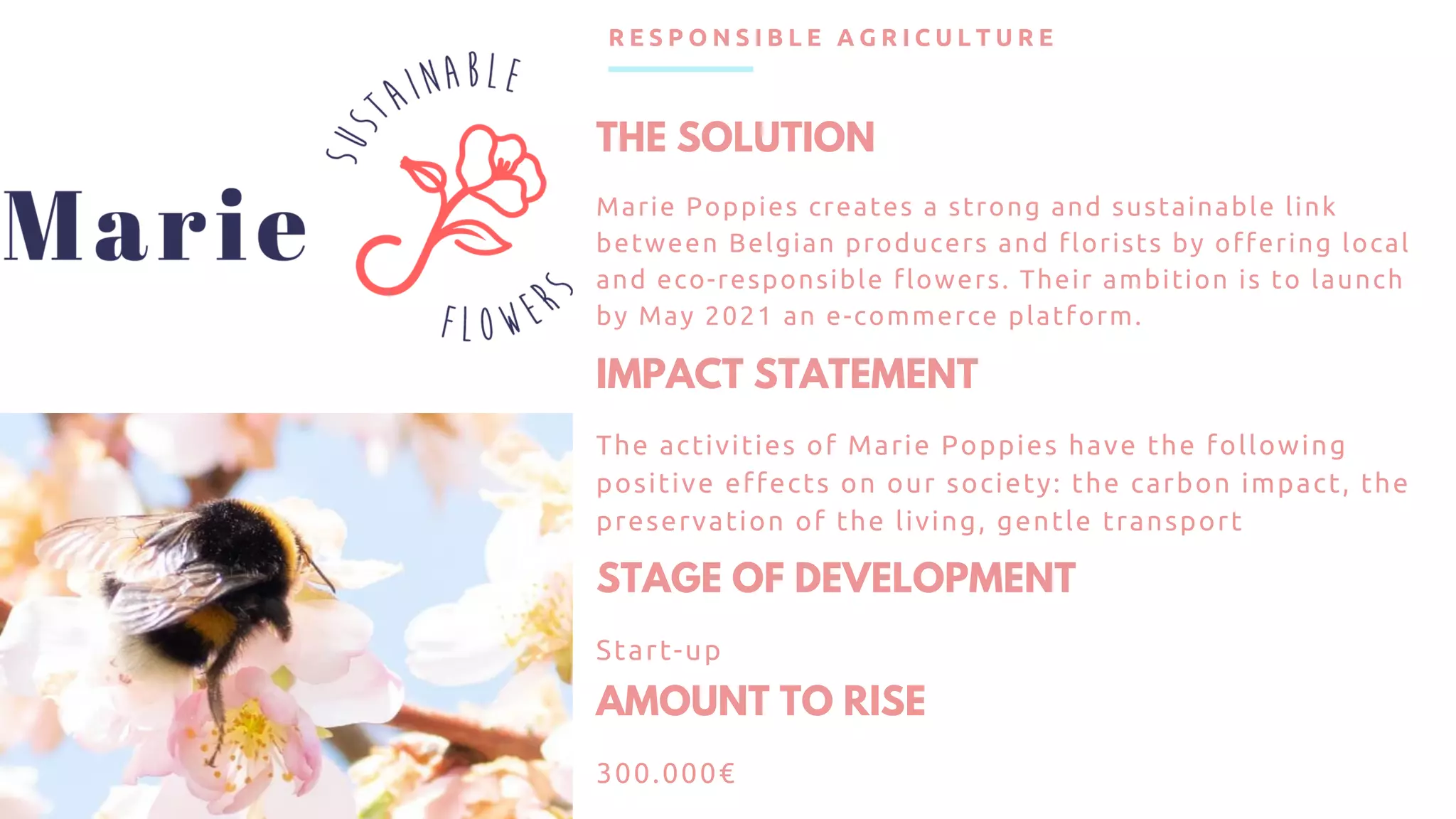 Matchmaking session #1 2021 | PPT