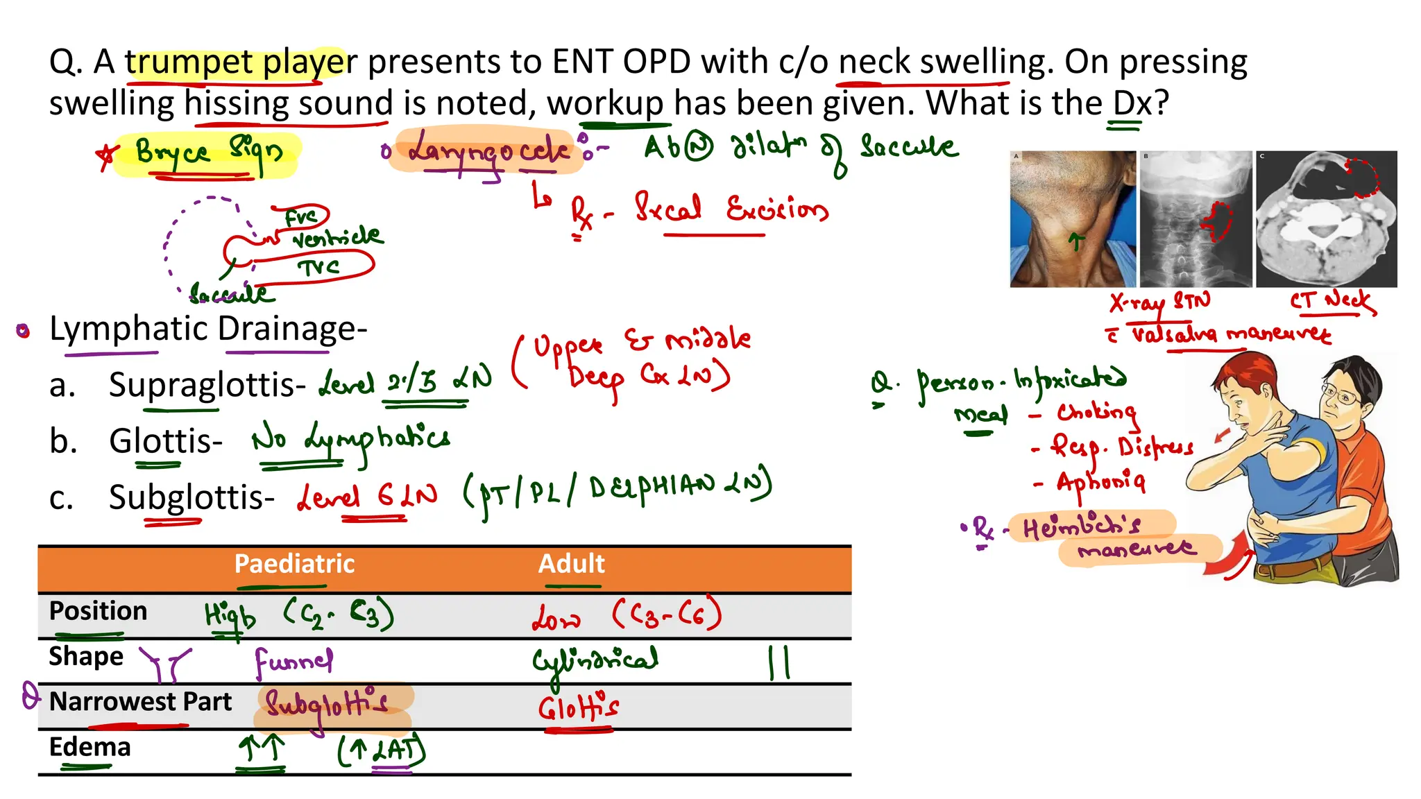 RAPID101111111 ENT REVISION 4TH YEAR.pdf