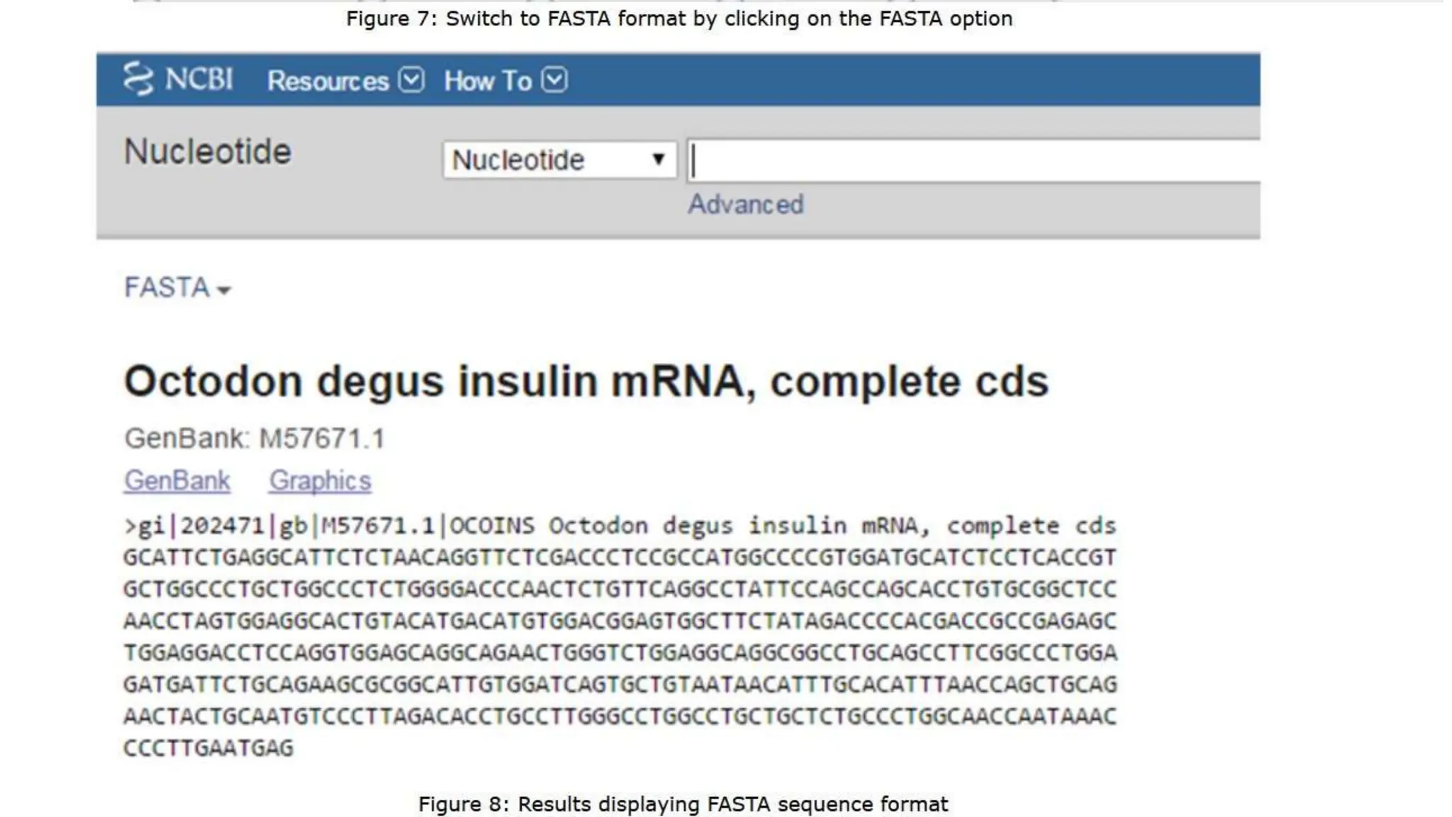 presentation on entrez in bioinformatics | PPTX