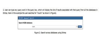 presentation on entrez in bioinformatics | PPTX