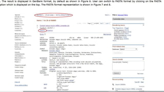 presentation on entrez in bioinformatics | PPTX
