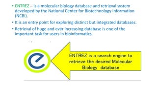 presentation on entrez in bioinformatics | PPTX