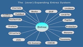 presentation on entrez in bioinformatics | PPTX