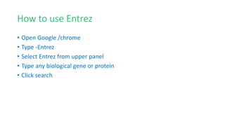 presentation on entrez in bioinformatics | PPTX