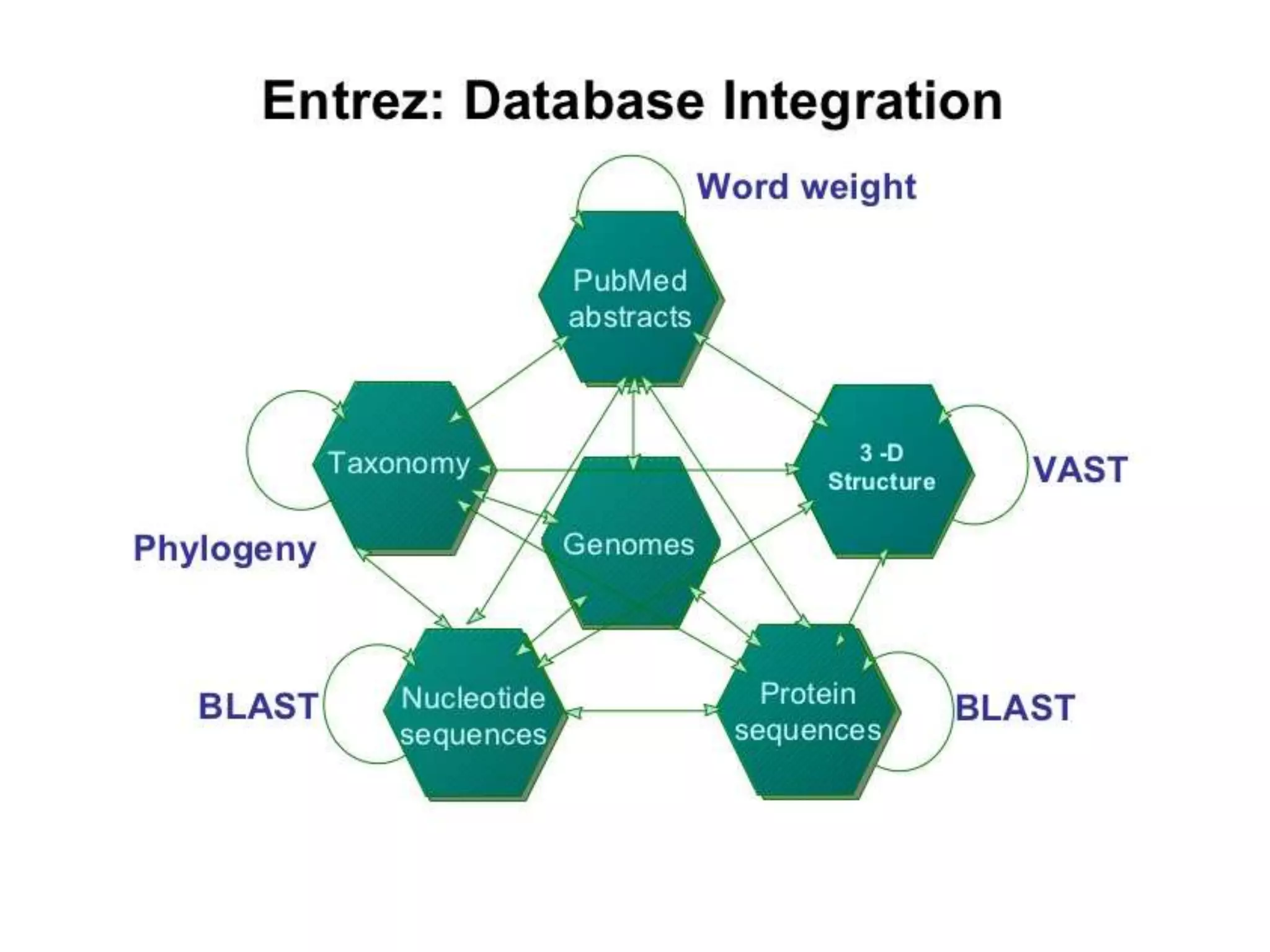 Entrez databases | PPTX