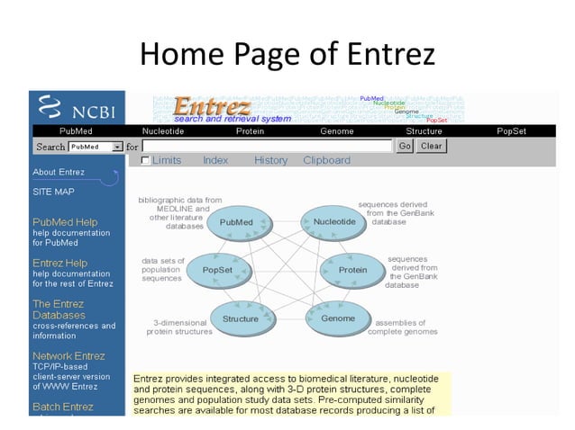 Entrez databases | PPTX | Search | Internet