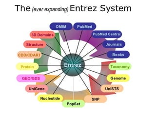 Entrez databases | PPTX