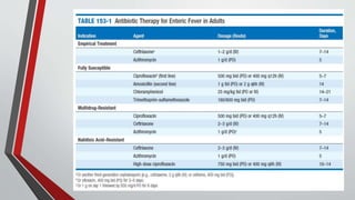 Entric Fever.pptx