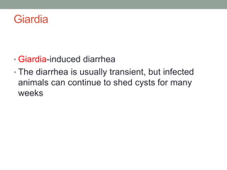 Entritis and diarrheal diseases of sheep and goats | PPTX