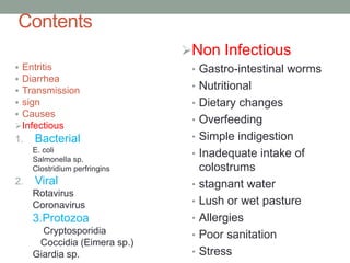Entritis and diarrheal diseases of sheep and goats | PPTX