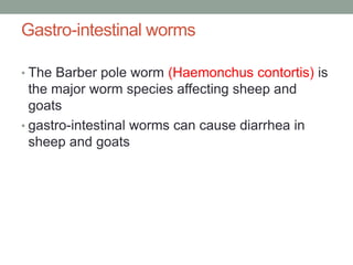 Entritis and diarrheal diseases of sheep and goats | PPTX