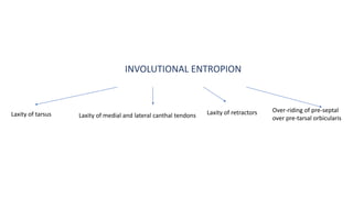 Involutional Entropion-mechanism, evaluation and management (lower lid ...