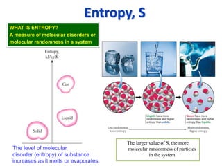 entropy unit3.pptx | Chemistry | Science