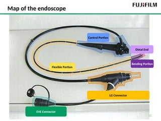 What is Endoscopy? (Flexible Endoscopes) | PPT