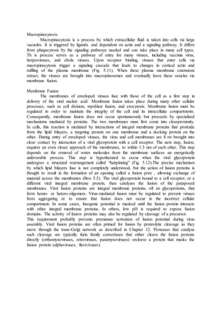 Entry in to host cell | DOCX | Infectious Diseases | Diseases and Conditions