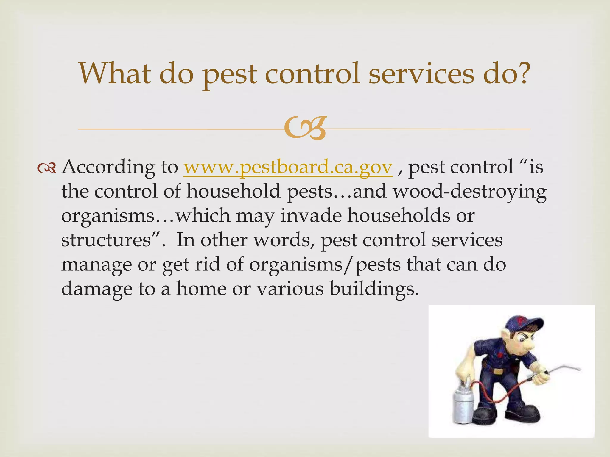 Entry Pest Control Services | PPTX