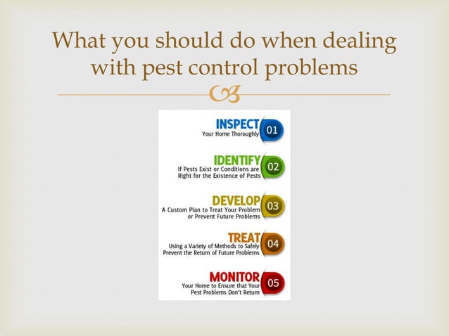 Entry Pest Control Services | PPTX