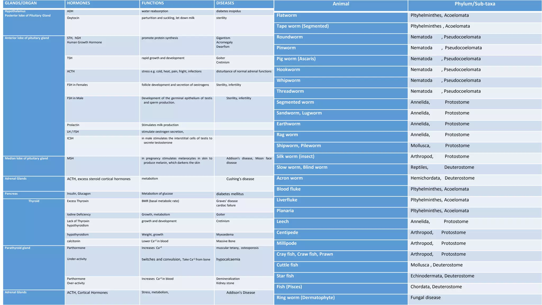 Entry test 2020 phase 1 | PPT