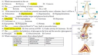 Entry test 2020 phase 1 | PPT