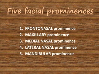 ENT about DEVELOPMENT OF NOSE | PPTX