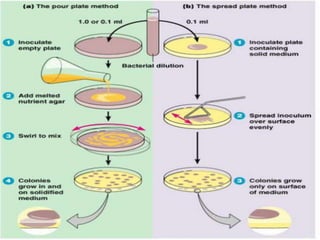 Enumeration methods ppt | PPTX