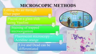 ENUMERATION OF MICROBES FROM AIR.pptx