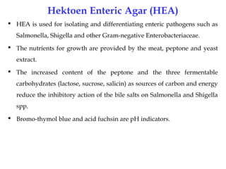 Hea Agar