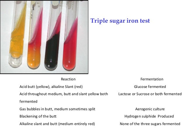 Enumeration of salmonella and shigella