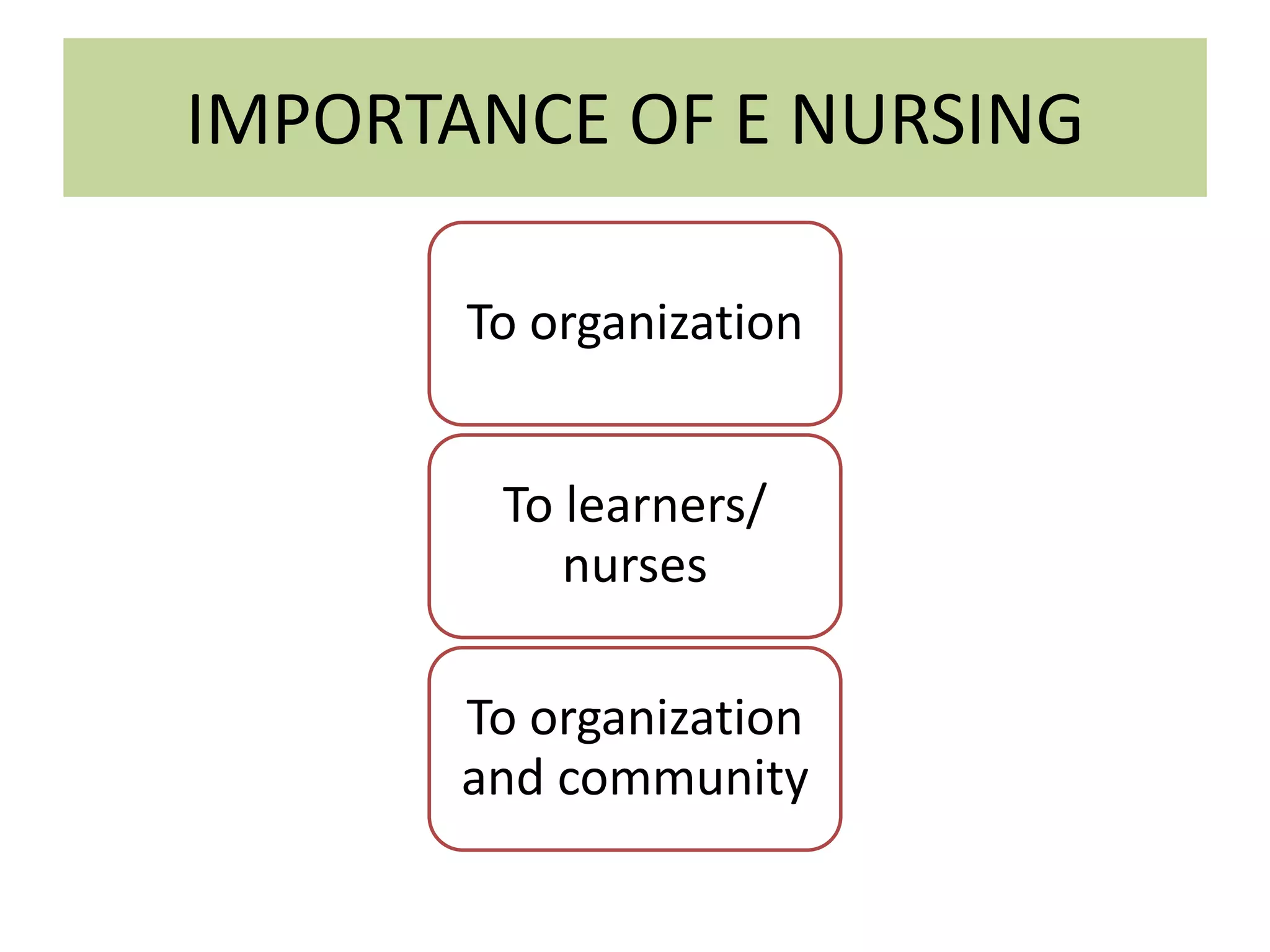 E nursing ppt | PDF