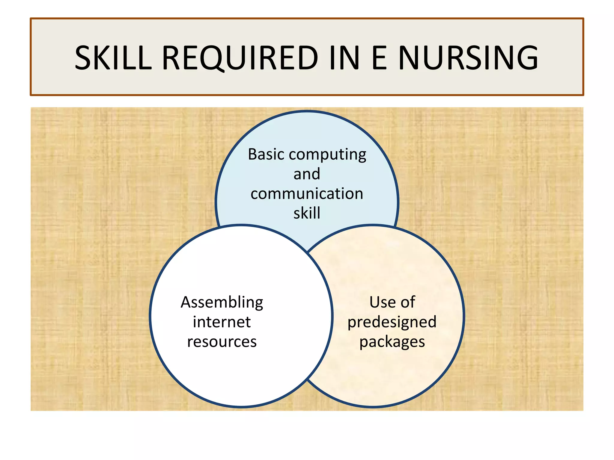 E nursing ppt | PDF