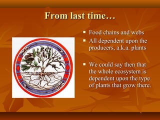 Biomes | PPT | Geography | Science