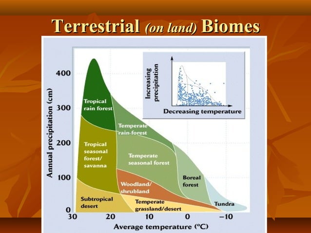 Biomes | PPT | Geography | Science