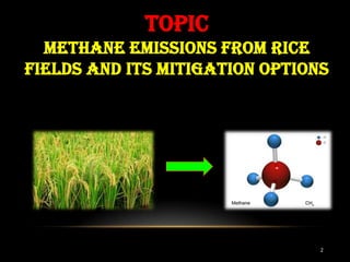Methane emissions from rice fields and its mitigation options by vinal ...