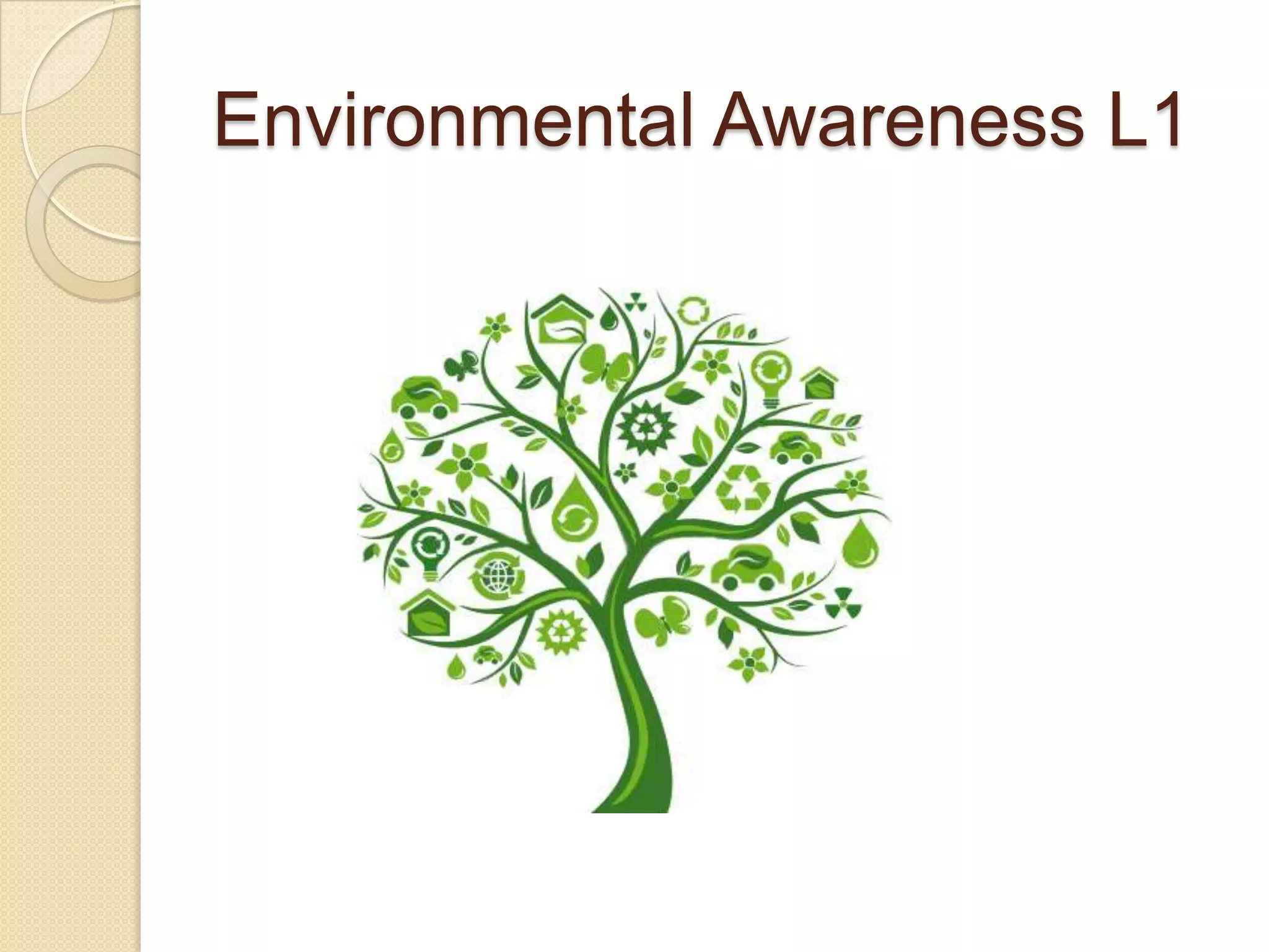 Environmental Awareness Presentation | PPTX