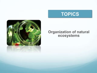 Env biology course outline | PPTX