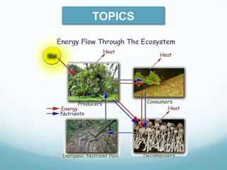 Env biology course outline | PPT