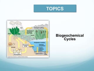 Env biology course outline | PPT