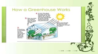 Global Warming, Greenhouse effect and Acid Rain | PPTX