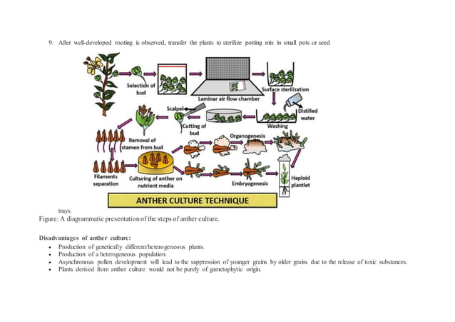 Environmental biotech and plant tissue culture protocols | DOC | First ...
